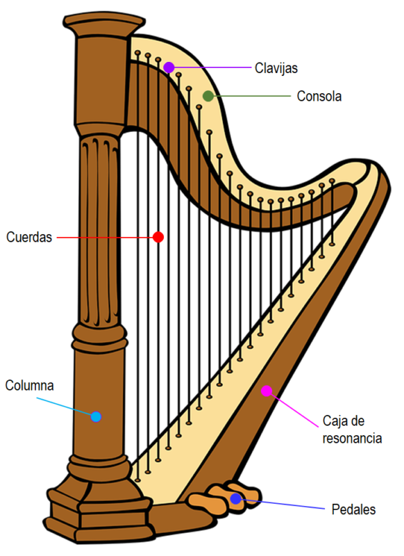 ¿Sabías que... EL ARPA Y SUS VARIOS TIPOS • Todo Calidad