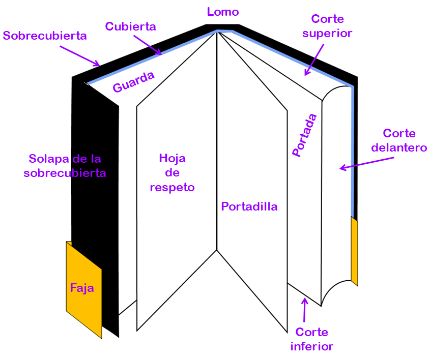 ¿Sabías que... EL LIBRO Y SU COMPOSICIÓN • Todo Calidad